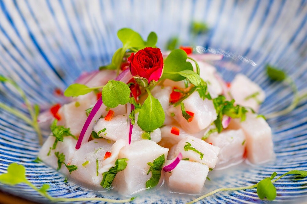 Different Types of Fish for Raw Dishes